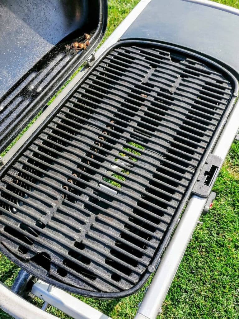 Weber Traveler: Il Barbecue Portatile Perfetto per Grigliate Outdoor
